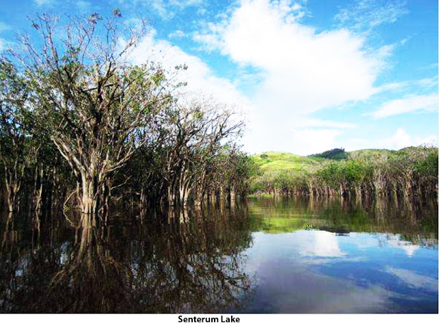The Beauty Landscape of Indonesia: Beautiful Scenary from West Kalimantan