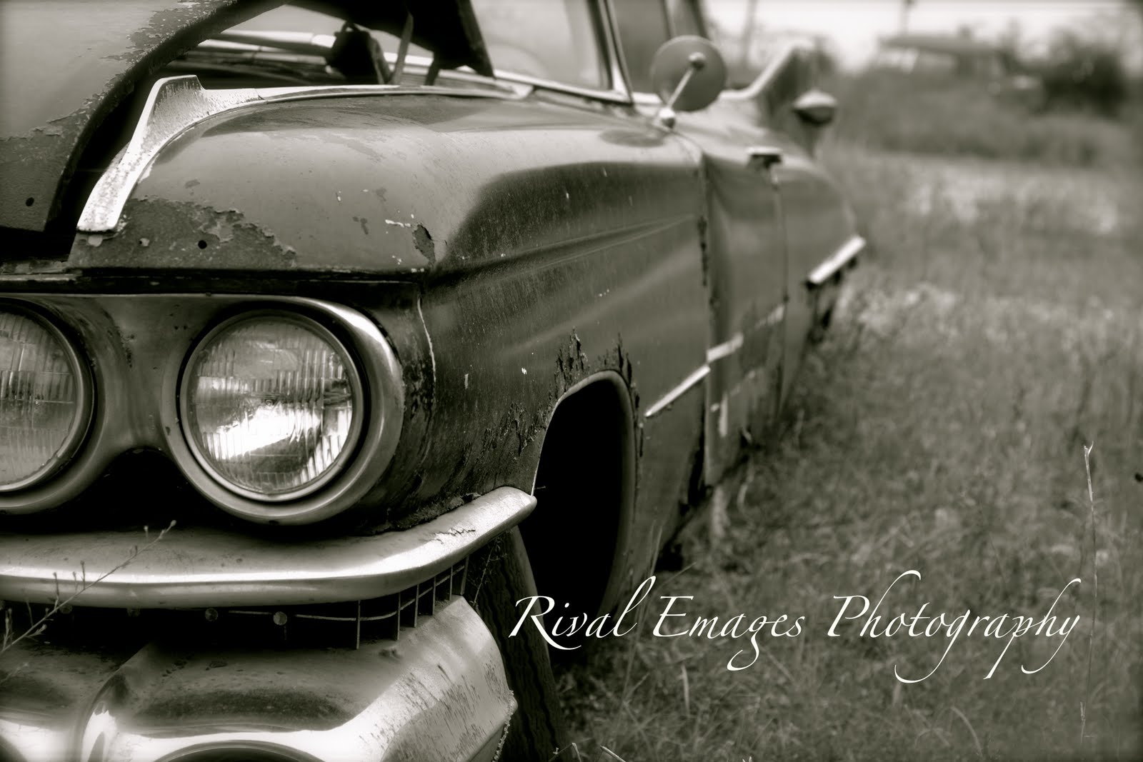 Journey of a Photographer