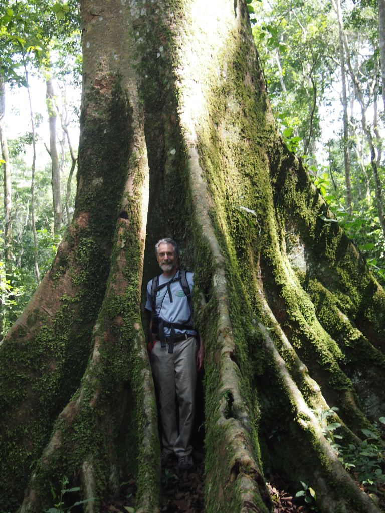 Celebrate What's Right with Public Higher Education: WALKING MPANGA FOREST