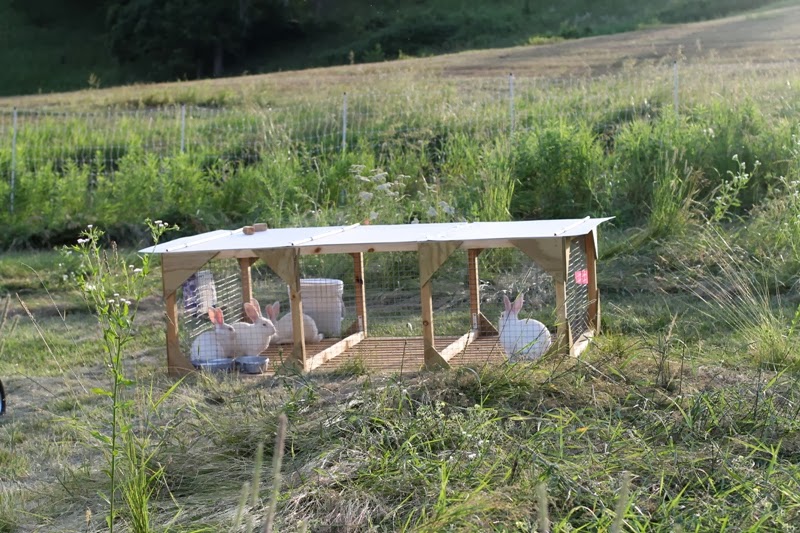 year at a glance 2013 | Gypsy Farmgirl