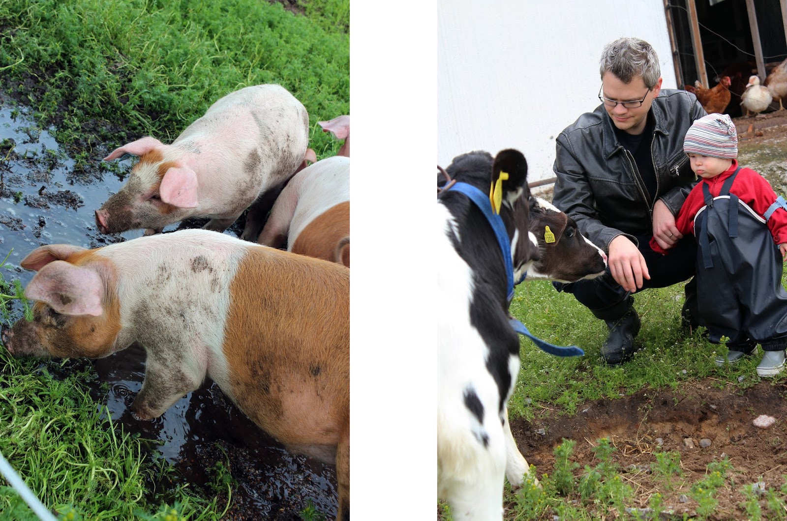 Livet är en dans på rosor, men det är en dans med svåra steg. : Bland ...