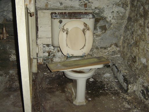 Everyday Things for the First Time: City of Bridges