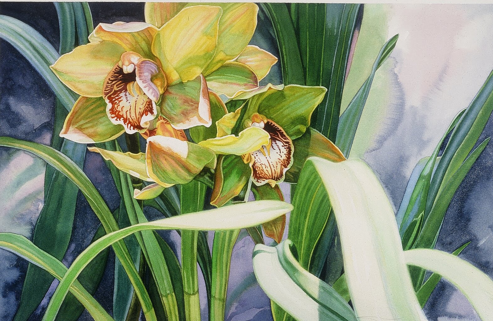 Sandra Fenton - Watercolor and Mixed Media paintings. Personal ...