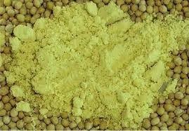 baharatlar: HARDAL TOHUMU