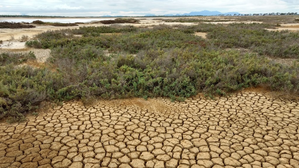 Queensland Coast: Salt Pans of Wunjunga