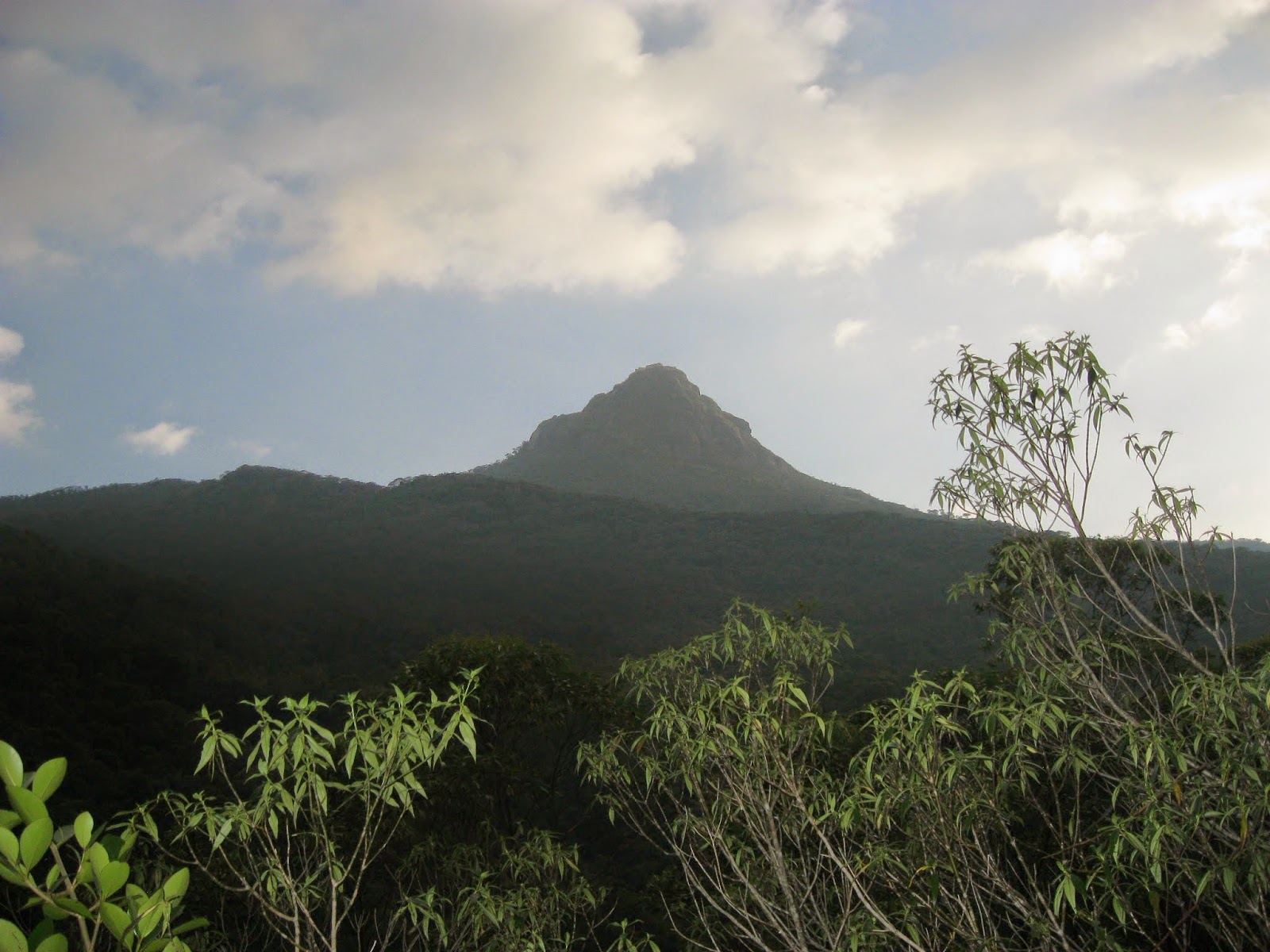 Sudaraka සුදාරක: Sri Padaya (Adam's Peak)
