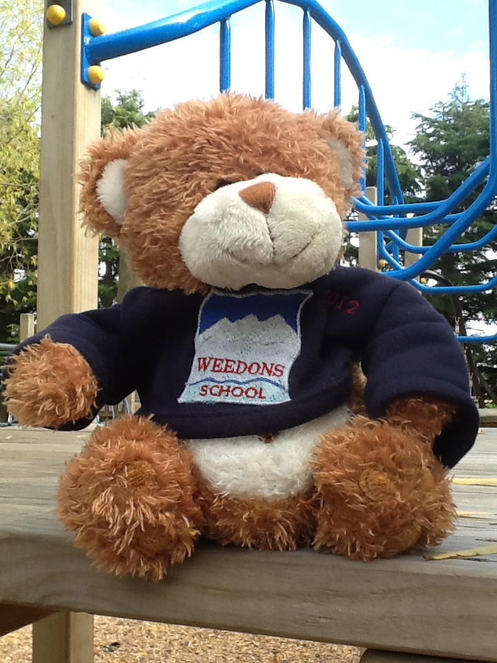 Kauri's Learning Journey: Wally Bear