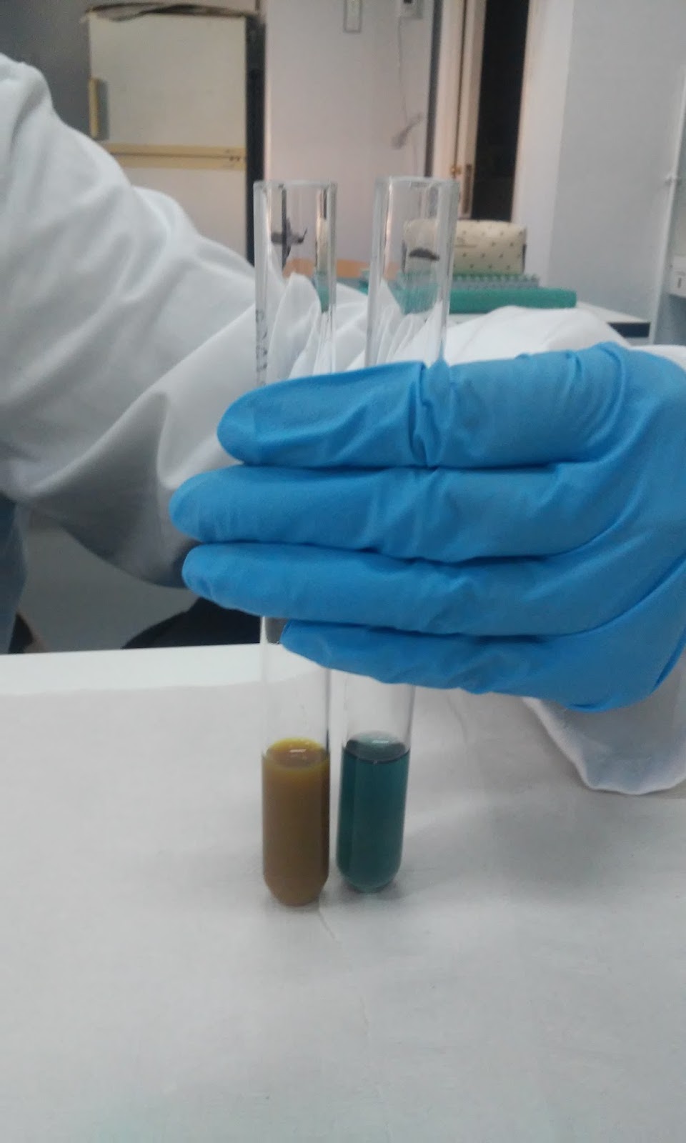 Bioquímica: MÉTODO DEL REACTIVO DE FEHLING