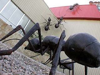 Las fobias más comunes, las más increíbles y las más absurdas | Cultura ...