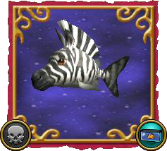 Wizard101 Zafaria Fish School, Location, XP, Rank, and Tank Size Guide ...