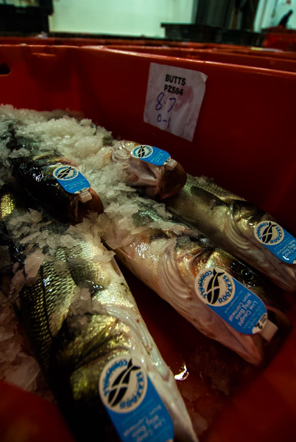 Through the Gaps! - Newlyn Fishing News: Monday's fish market in Newlyn ...