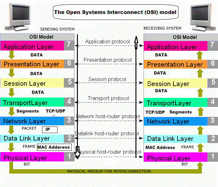 Pak IT Academy: Computer Networking Course Training: