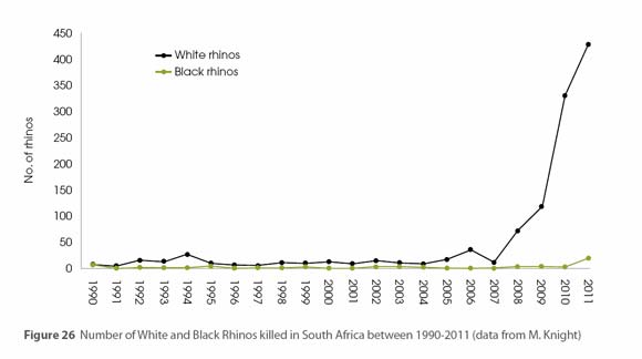 Exercise in Futility: The Tragedy of the Rhino
