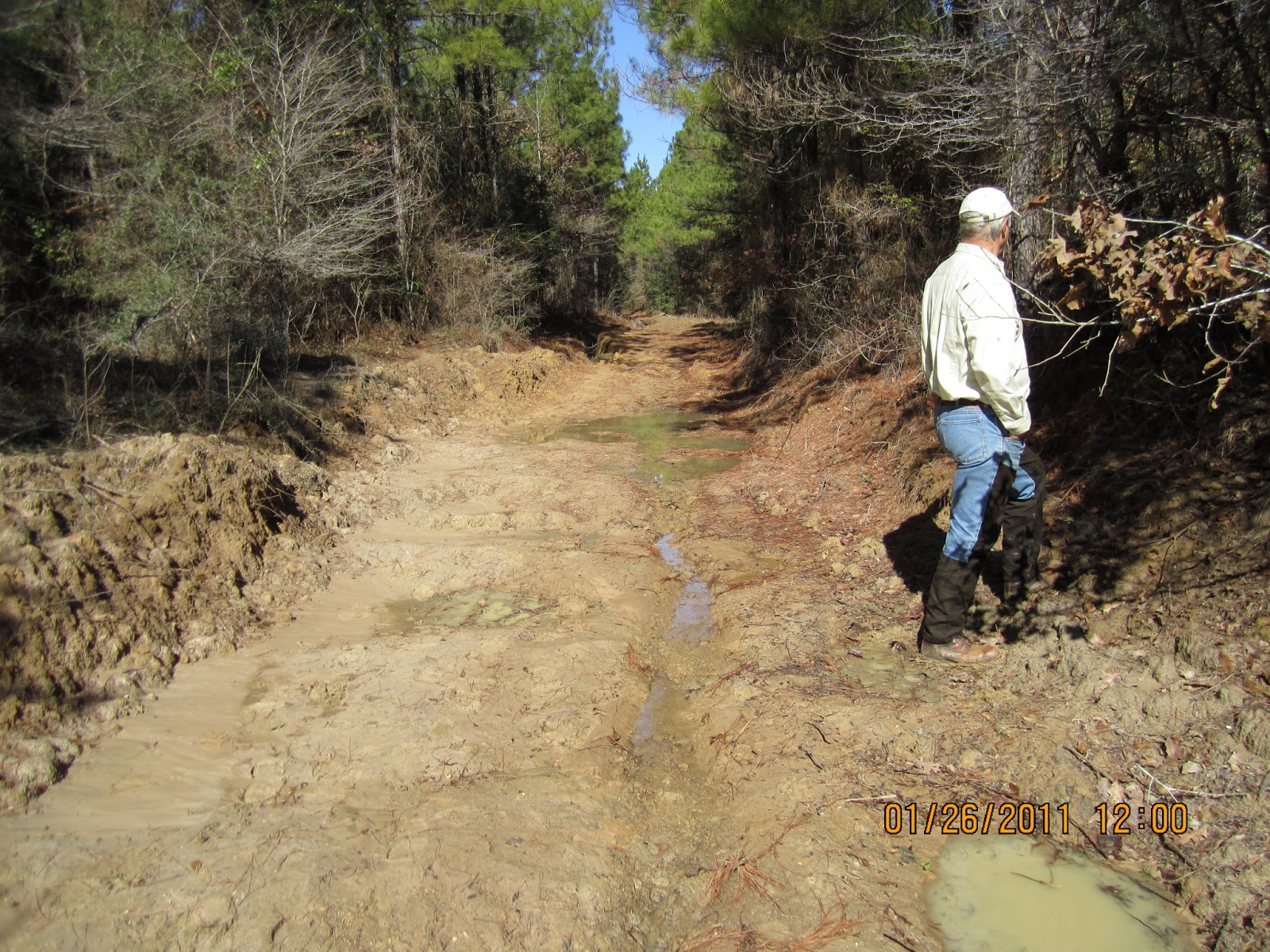 Texas A&M Forest Service: Water Resources: March 2013 BMP Q&A