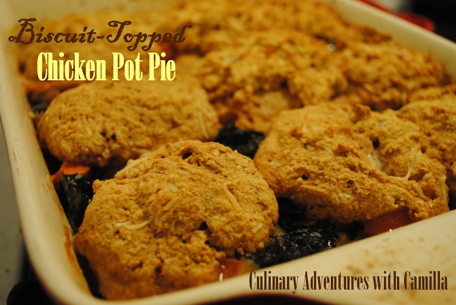 Cumin-Scented Chicken Pot Pie {Pi Day}