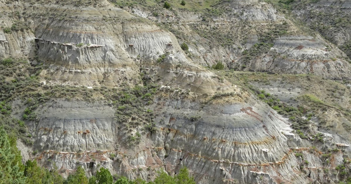 Sedimentary Rock: Evidence of Noah's Flood?