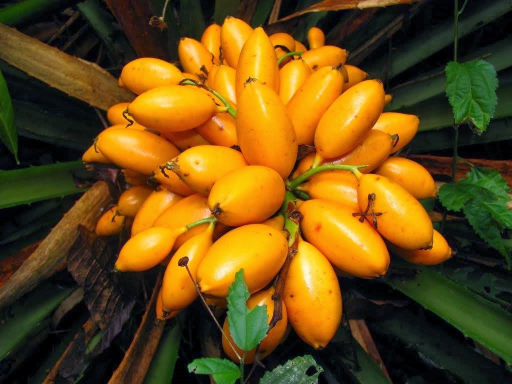 Ludugero desde que me entendo por Ludugero: AZINHAVRES, por João Maria ...