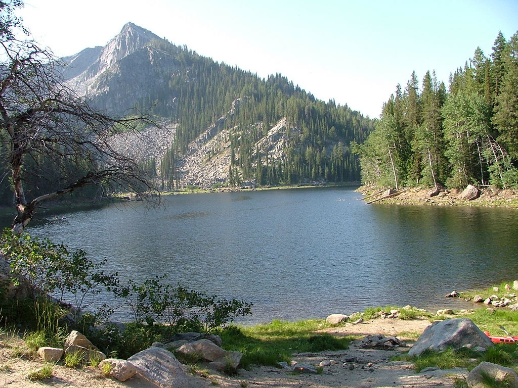 Bradyboy's Blogger: Brawling in McCall with Team LaxAllStars