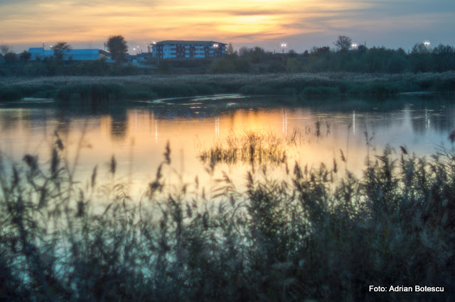 Poveştile mele: Locuri de vizitat in Bucuresti – Lacul Morii si ...