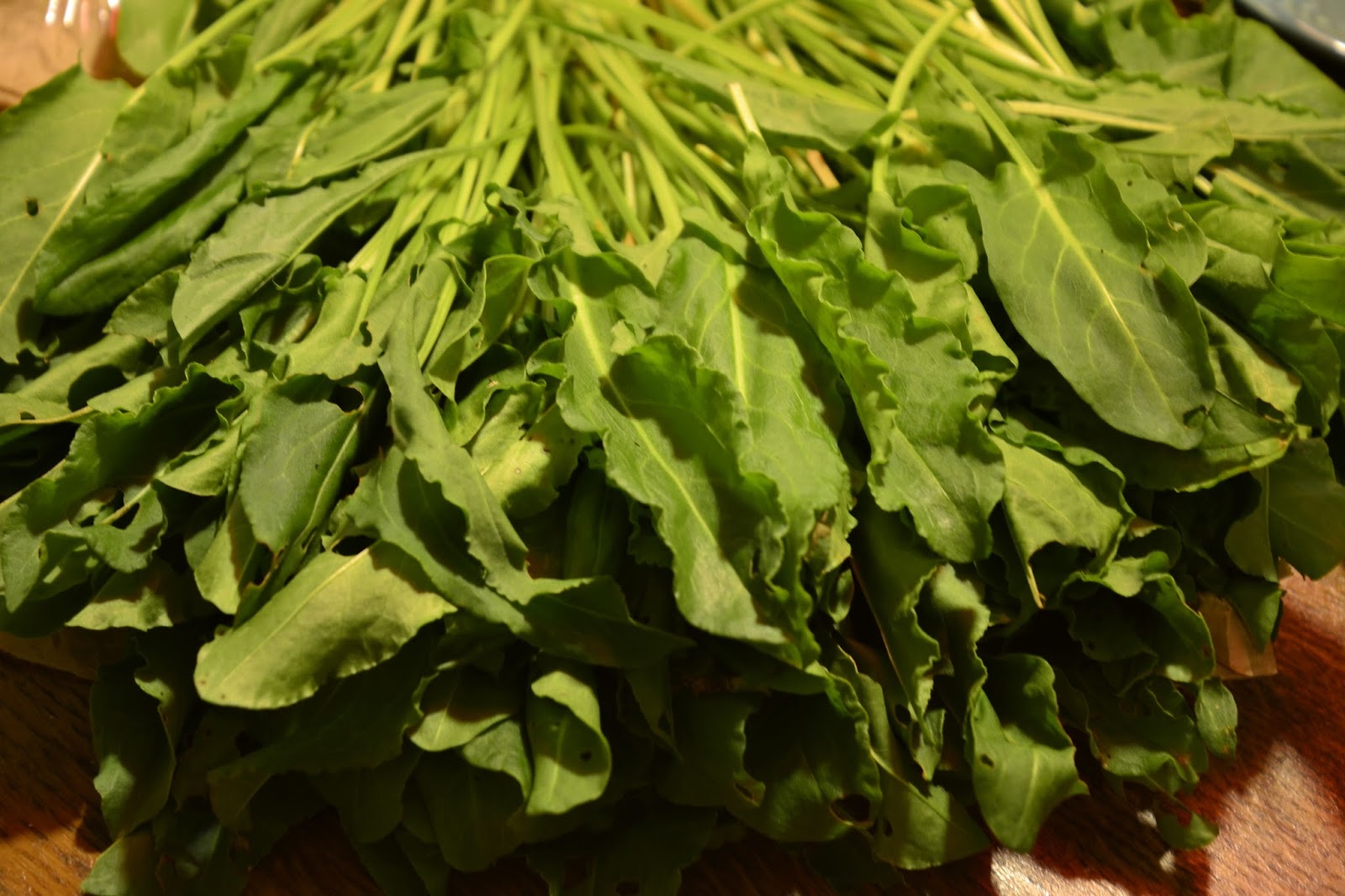 cele patru anotimpuri: Măcriș