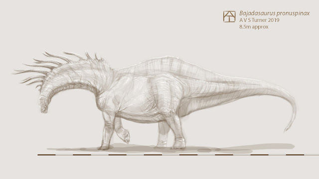 Bajadasaurus pronuspinax
