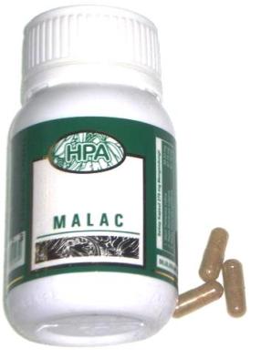 HPA JAMBI: Malac