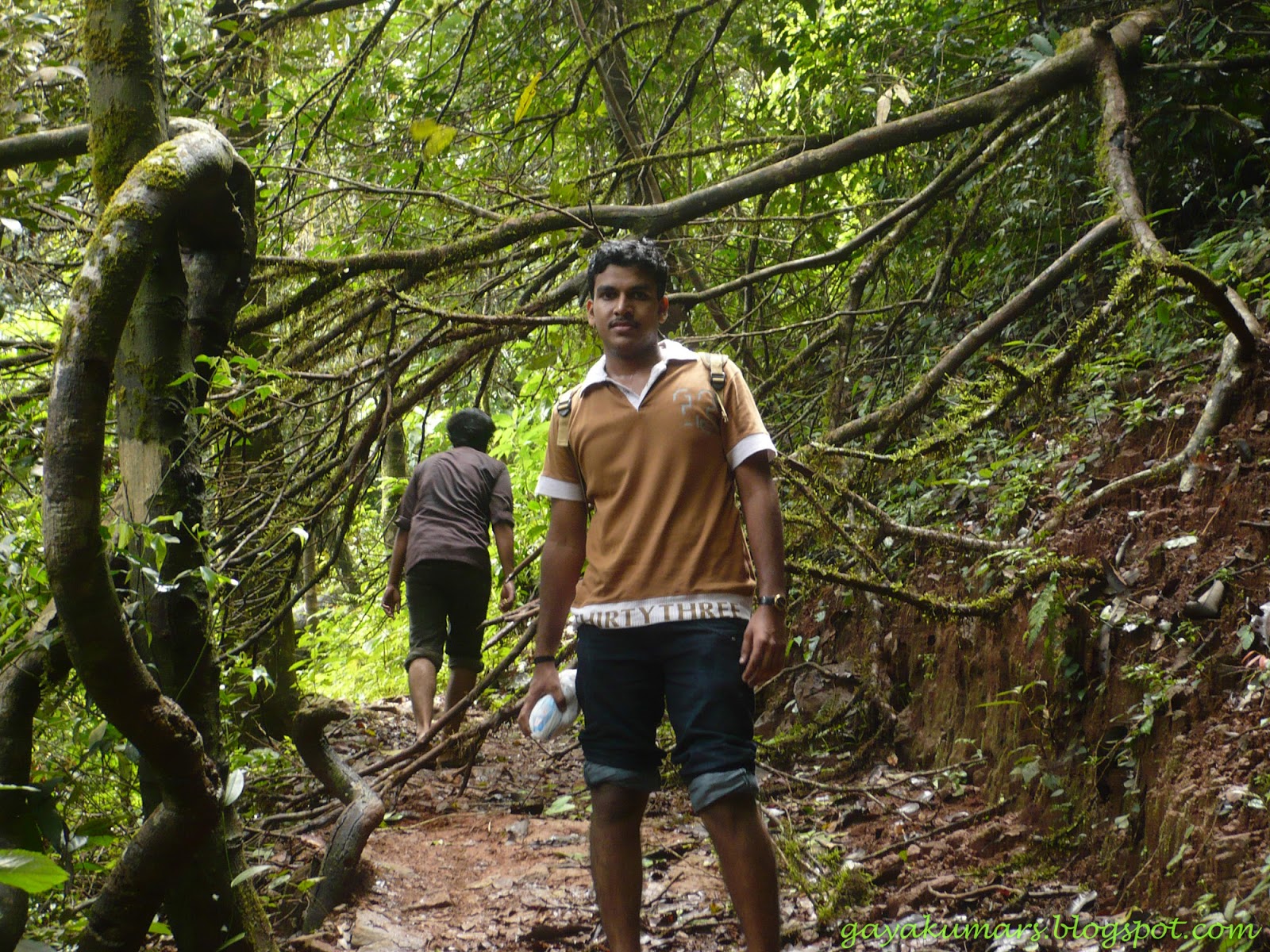 A Trip To PaithalMala: PaithalMala / Vaithalmala