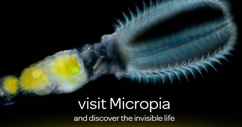 Hartelijks: Micropia