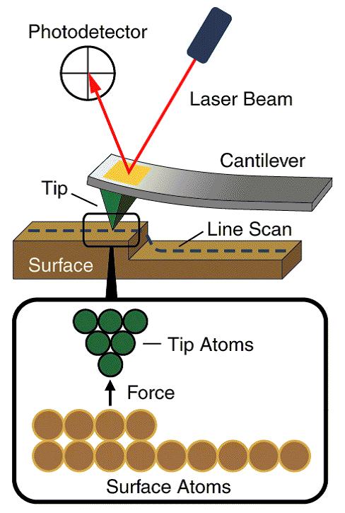 ANALYTICAL INSTRUMENTS: ATOMIC FORCE MICROSCOPY