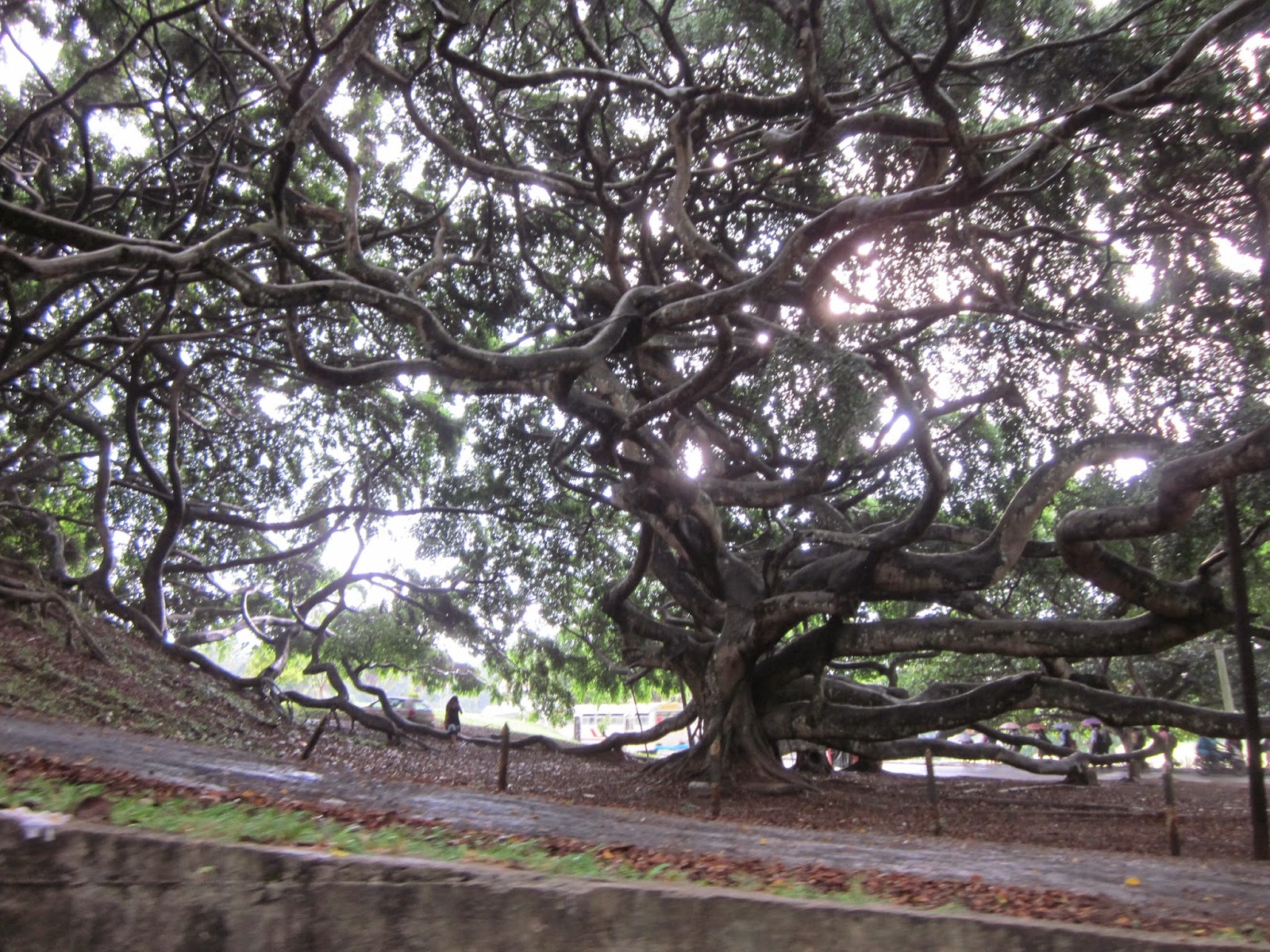 Pretty Simply Normal: Sri Lanka Revisited (Overview)