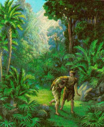 Emmaus Road Ministries: A Fig Tree In My Vineyard? Tree Series Part 7 of 7