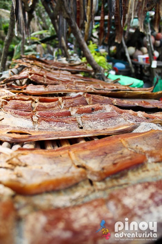 THINGS TO DO IN BATANES: Batan Island South Tour - "Amazing Places to ...