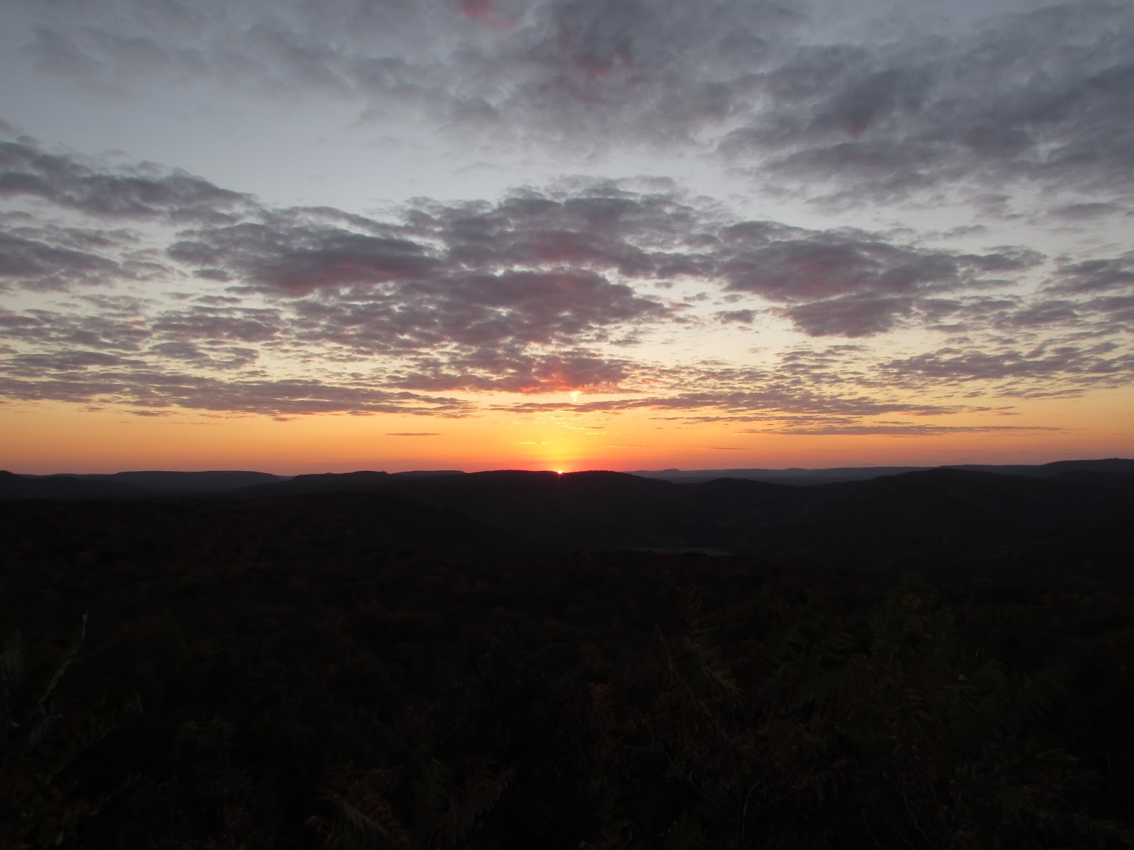 High Knob Overlook and Dry Run Falls: Loyalsock State Forest, Sullivan ...