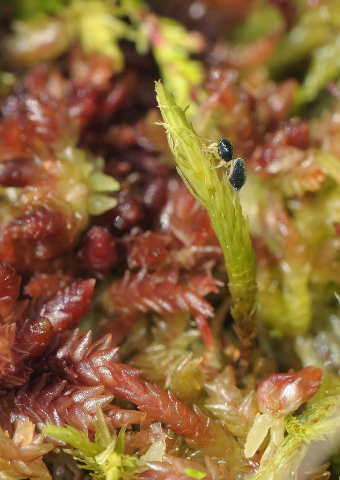 All Our Stories- 'Fallin Bing- from Coalfield to Brownfield!': October 2013