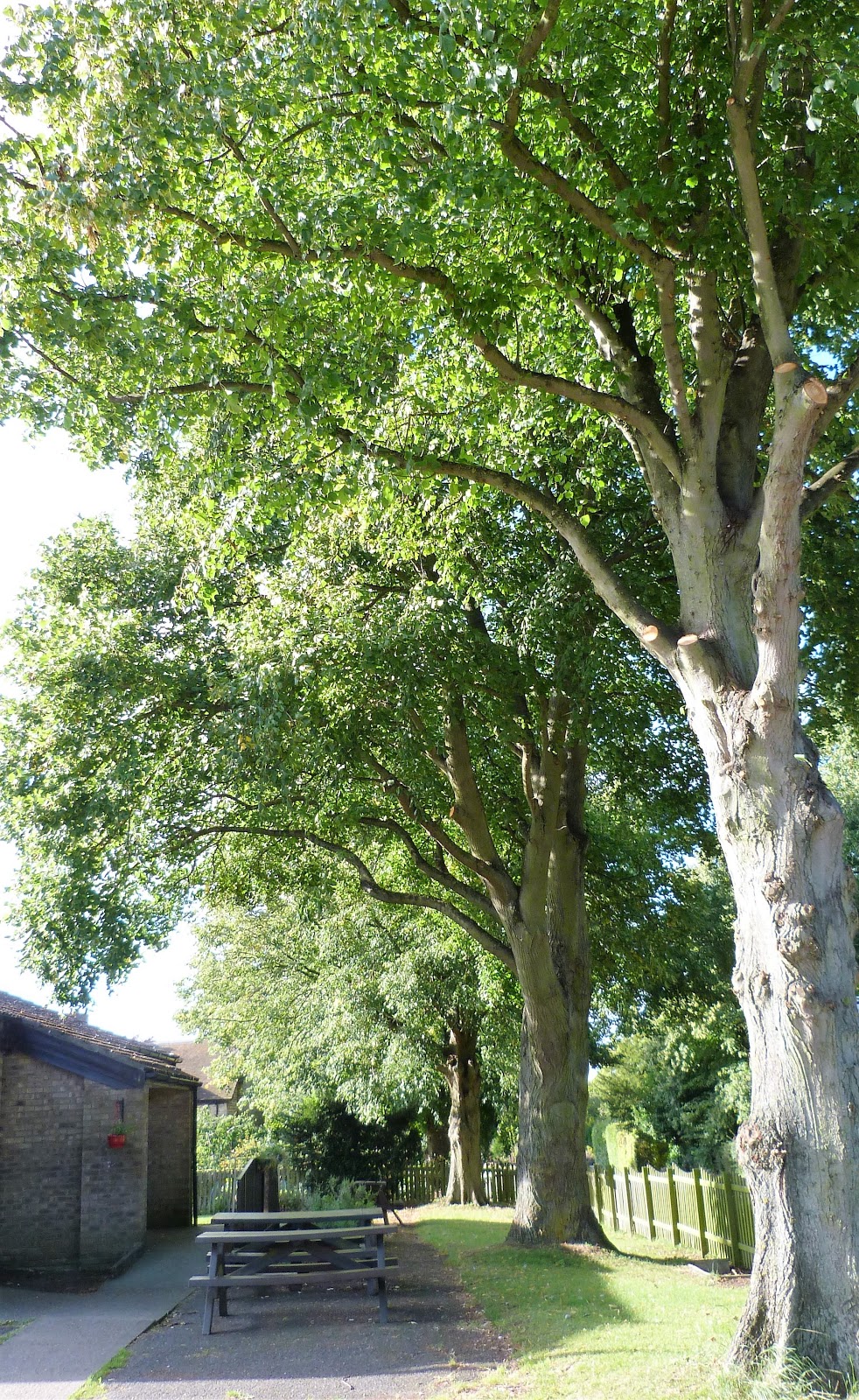 Nocton in Lincolnshire: Nocton Village Hall - latest news