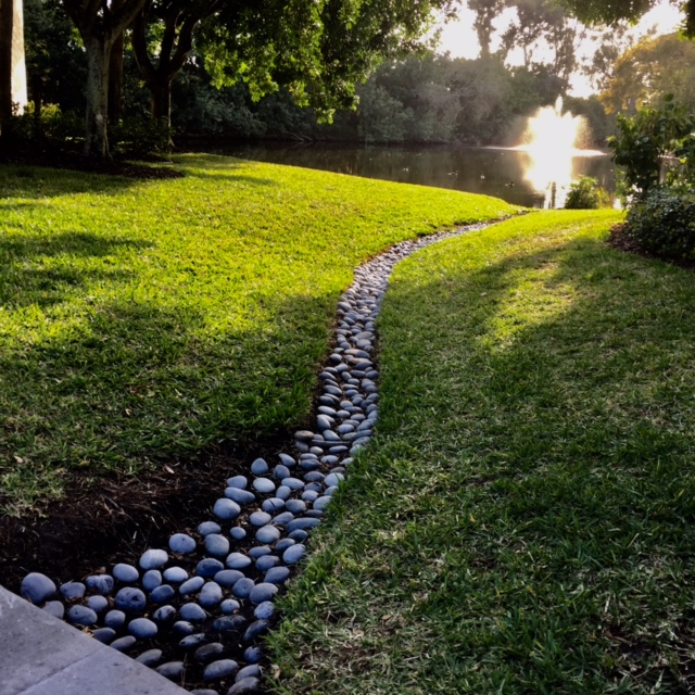 Wildewood Wonders: Stormwater drain path lined with stones