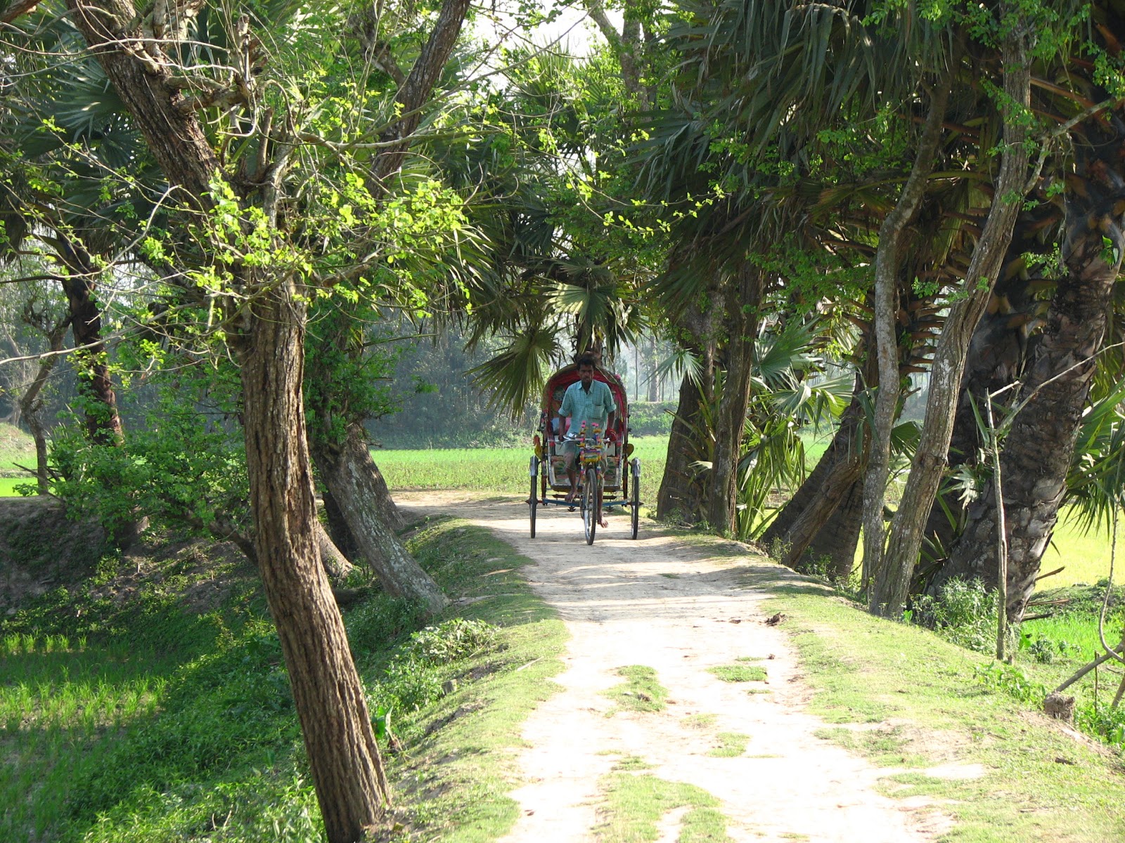 We love Our Bangladesh: Rickshaw and Bangladesh from economic ...
