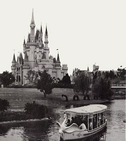 Disney Avenue: The History of the Walt Disney World Swan Boats