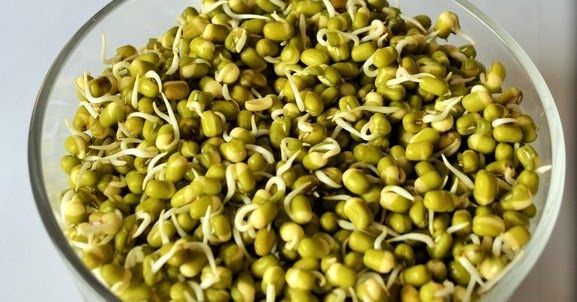How to Sprout Green Gram at home | Sprouted Green Gram |Sprouted Mung ...