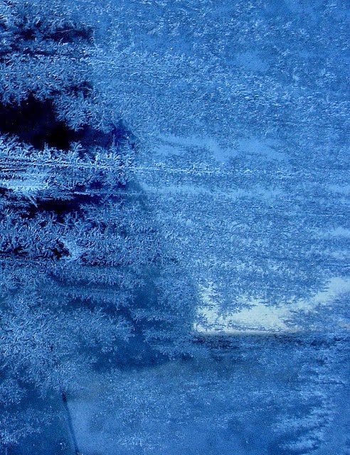 Mineral Vegetal: Frozen