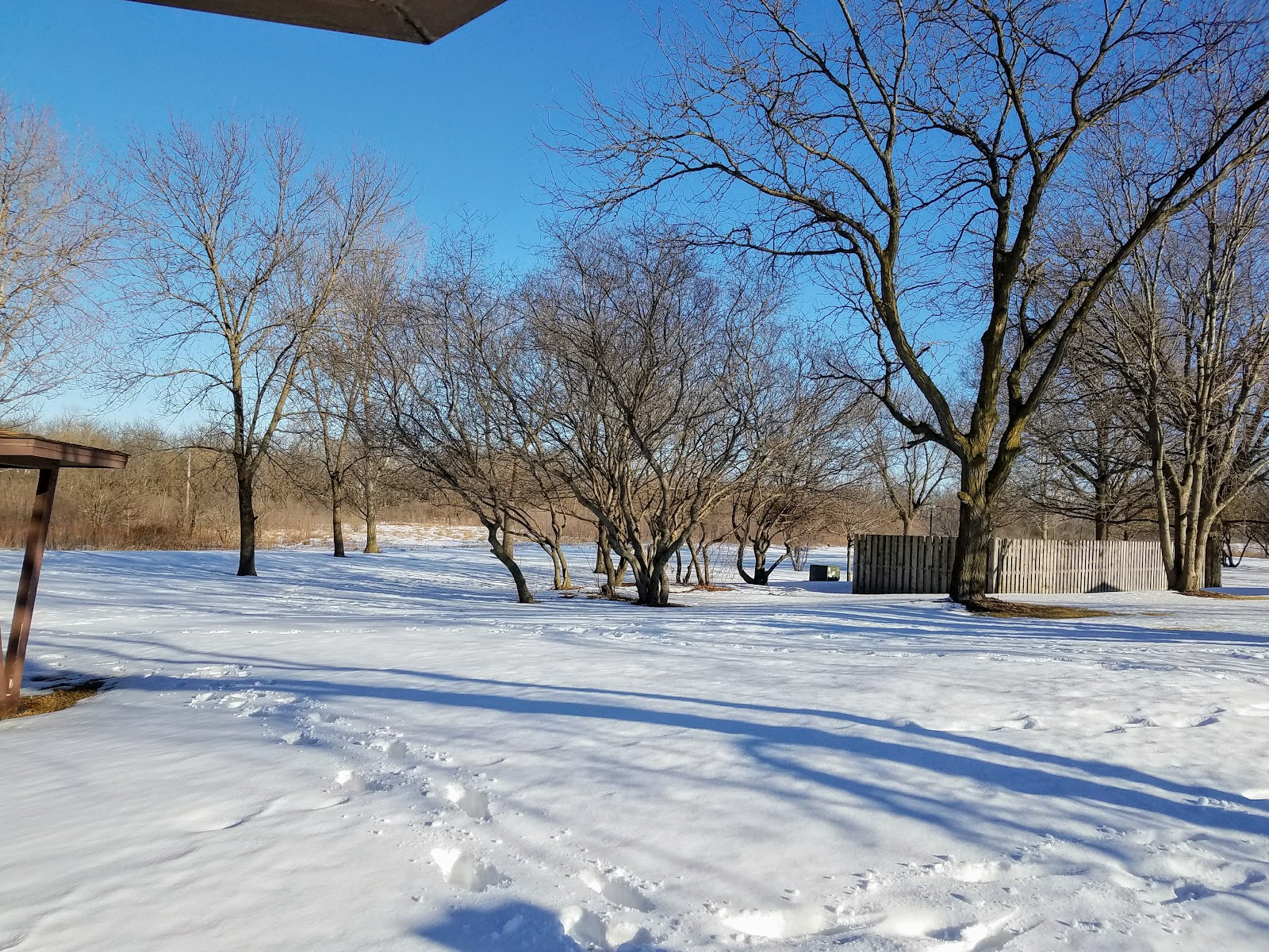 History and Culture by Bicycle: Munzee: Captured, Mythical Creatures ...