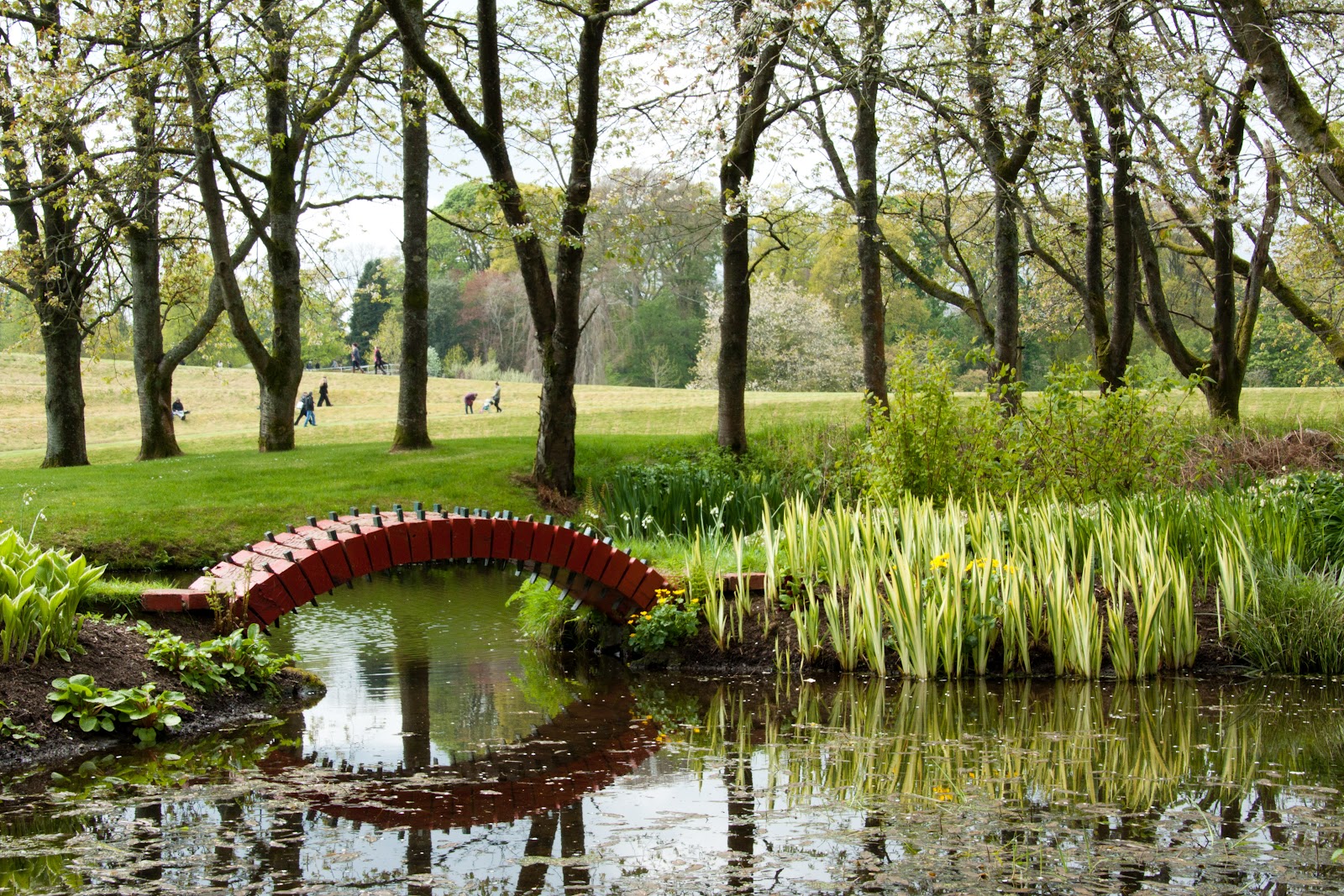 Peach and Thistle: The Garden of Cosmic Speculation, at Portrack House ...