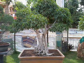 Sri Ganapati Sachidananda Ashrama in Dattanagar, Mysore - Avadhoota ...