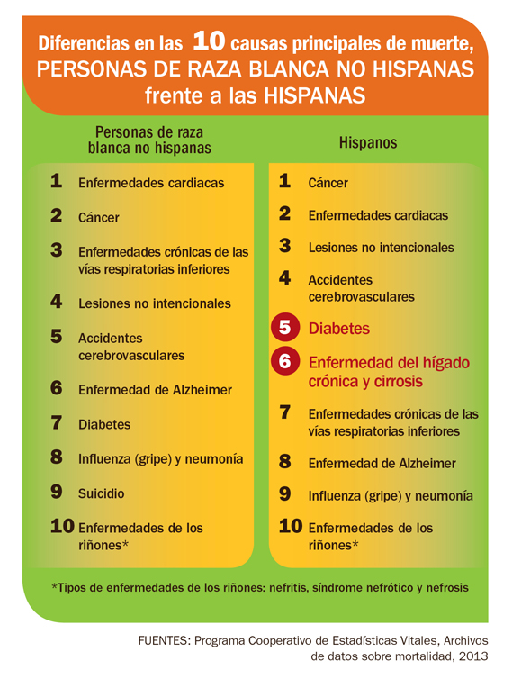 Hispanic Community Health Study/ Study of Latinos The Bronx Field Center