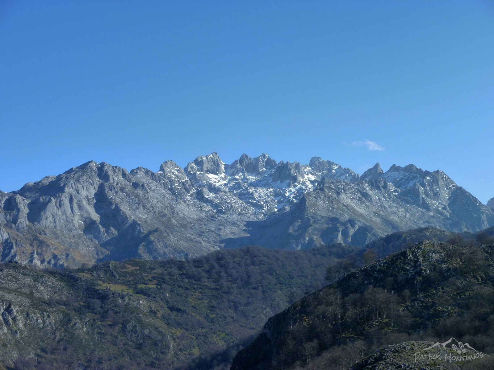 Pateos Montunos: enero 2016