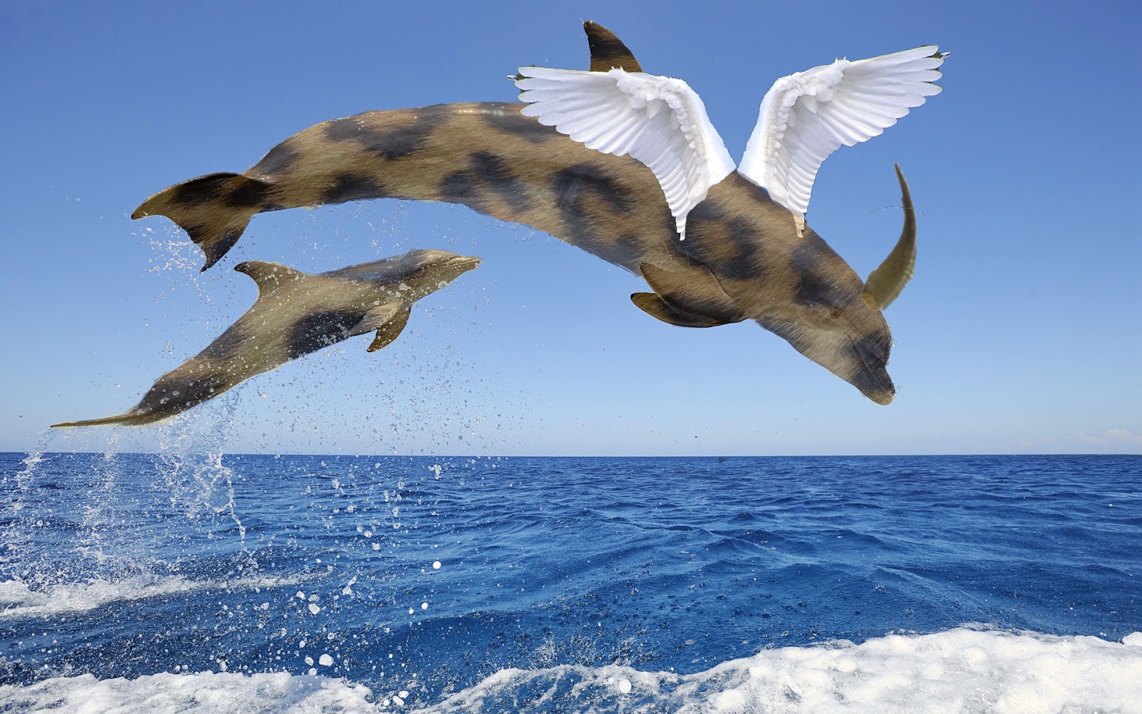 WCC Center for the Arts, Summer '13 : July 2013