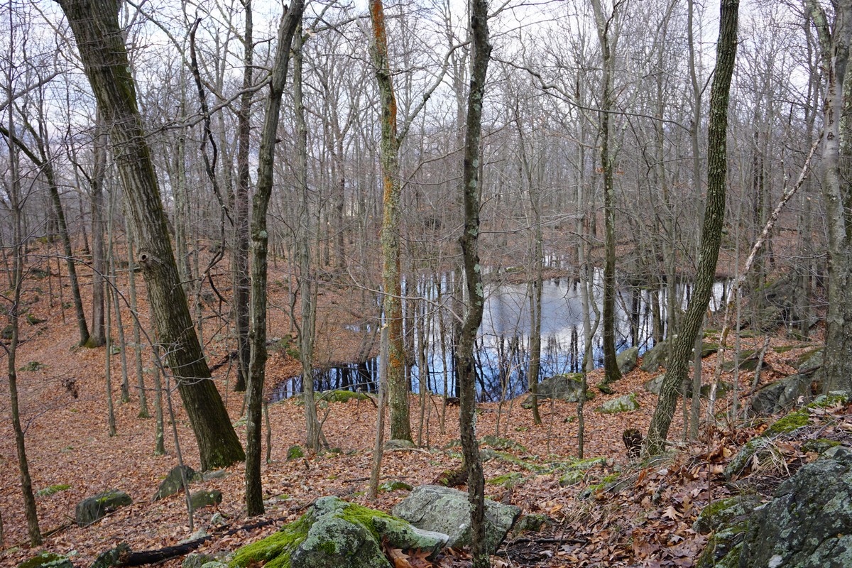 Harriman Hiker: Harriman State Park and Beyond: Blue Mountain ...