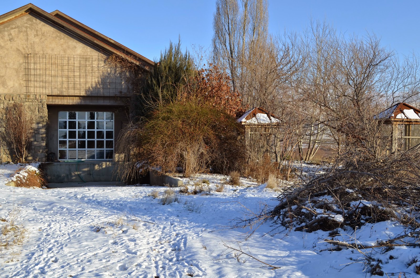 La Maison Boheme: Richard Murray's Live-Work Art Studio