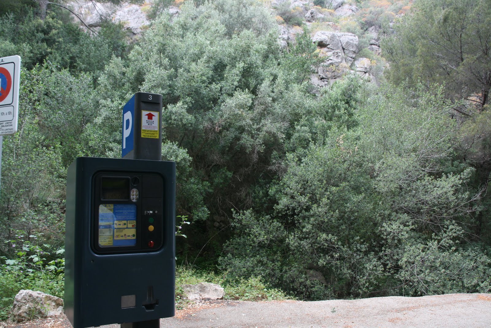 Palma de Mallorca, Perla del Mediterráneo