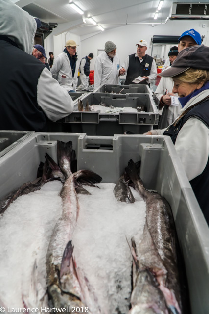 Through the Gaps! - Newlyn Fishing News: A little on the chilly side on ...